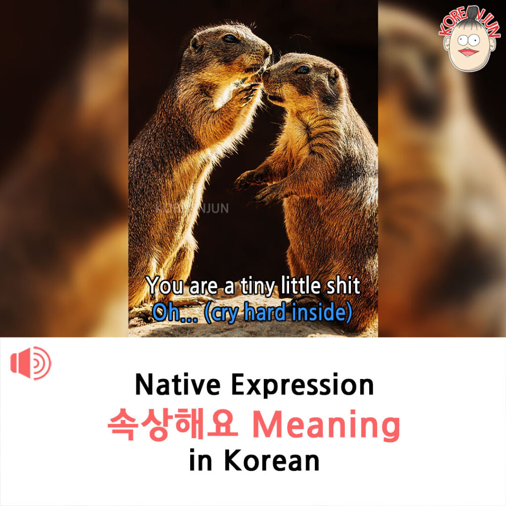 What is Yadong Korean Meaning in Japanese Tourist Guide A Guide to Respectful Communication ...